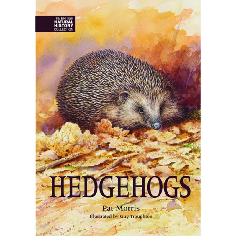 “The Hedgehog Book” by Hugh Warwick - The British Hedgehog Preservation ...
