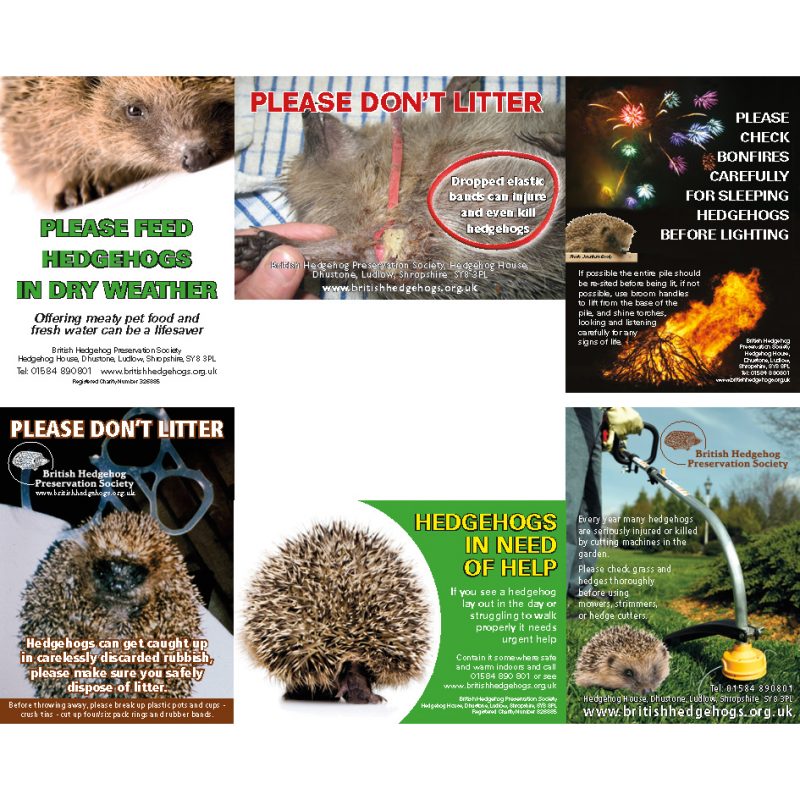 2 x Hedgehog Highway Signs for £5 - The British Hedgehog Preservation ...