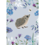 The British Hedgehog Preservation Society Online Shop