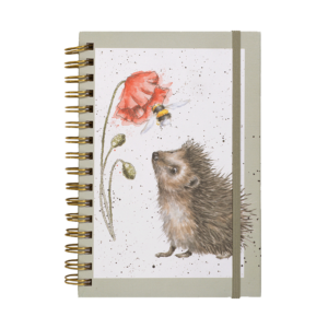 The British Hedgehog Preservation Society Online Shop