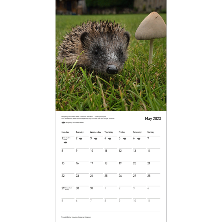 The British Hedgehog Preservation Society Online Shop