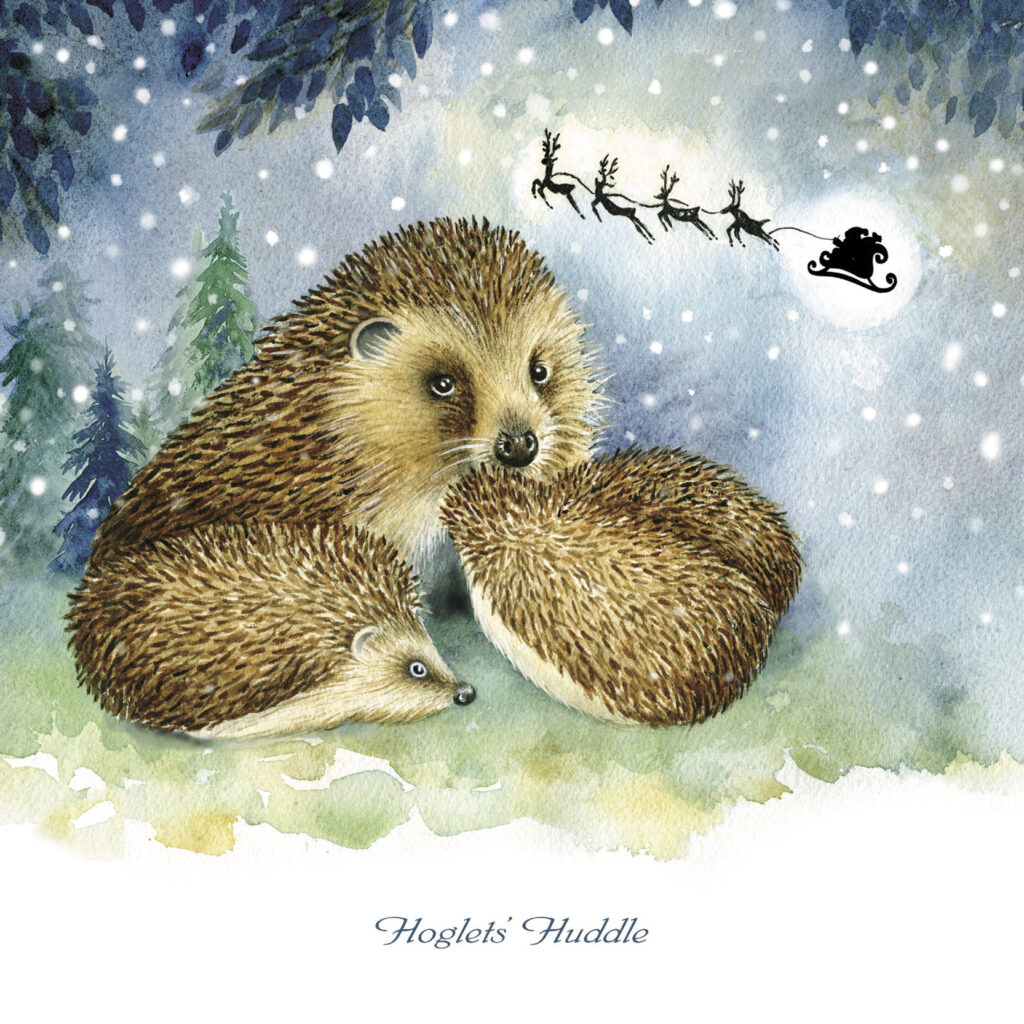 The British Hedgehog Preservation Society Online Shop
