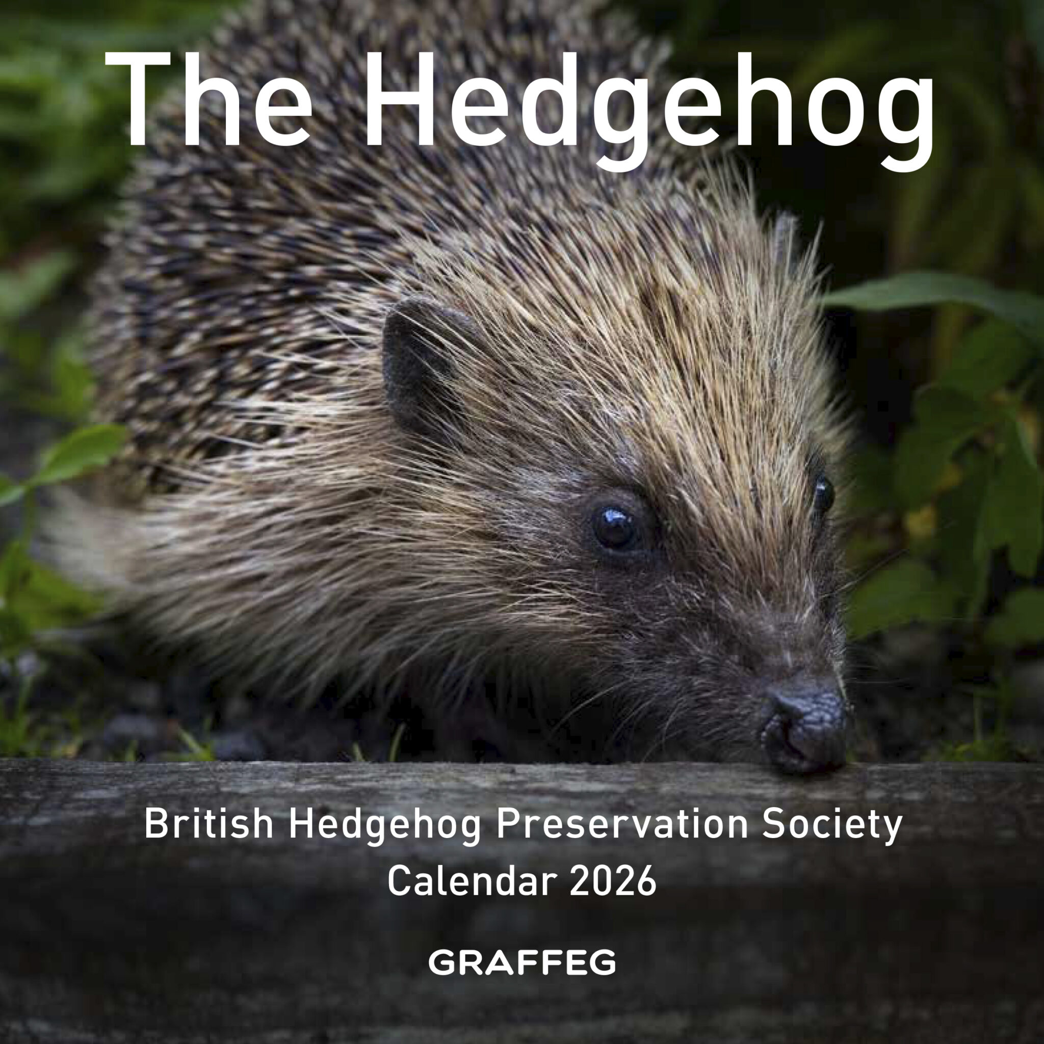 The British Hedgehog Preservation Society Online Shop